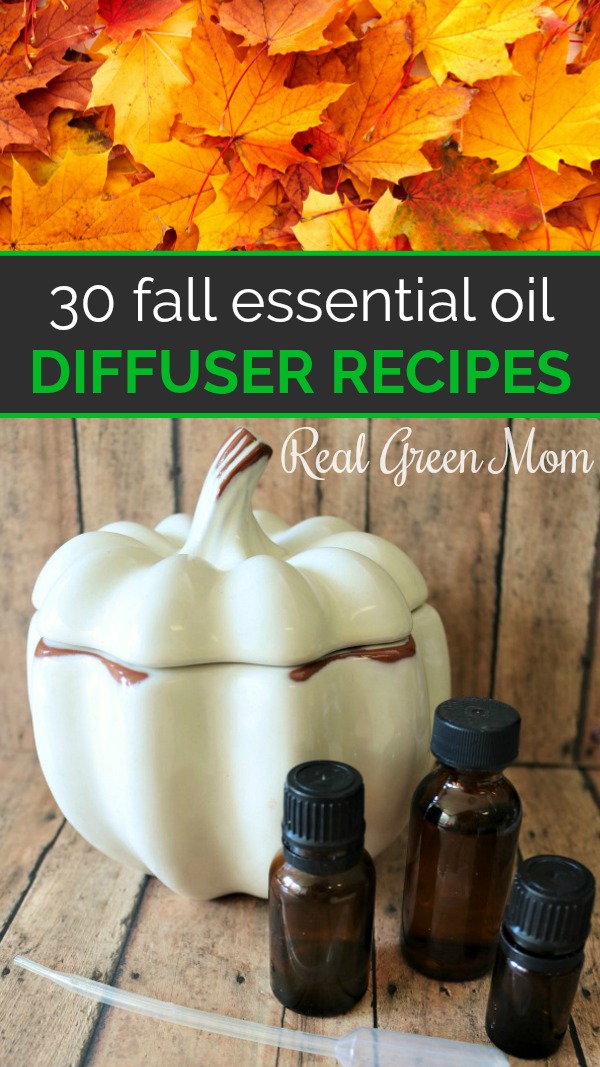 Top 30 Fall Essential Oil Diffuser Blends - Real Green Mom